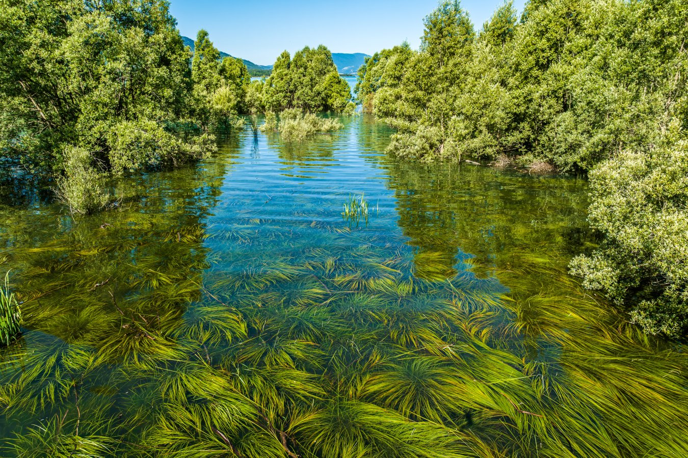 L’Europe s’engage pour le Liou